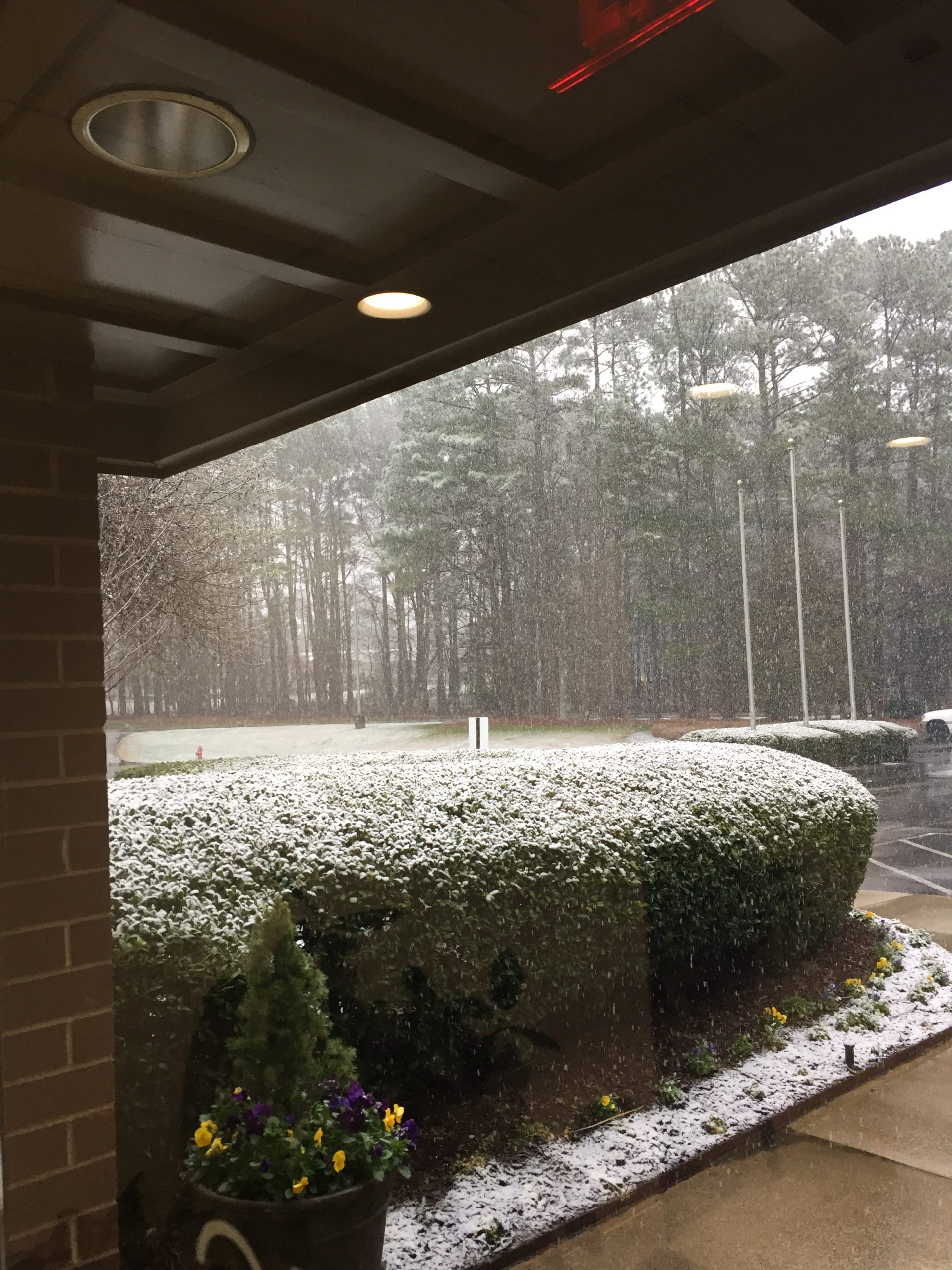 Snow 2020 – My Durham Life